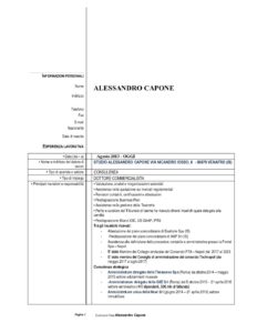 CAPONE_ALESSANDRO_CV - Comune di Napoli